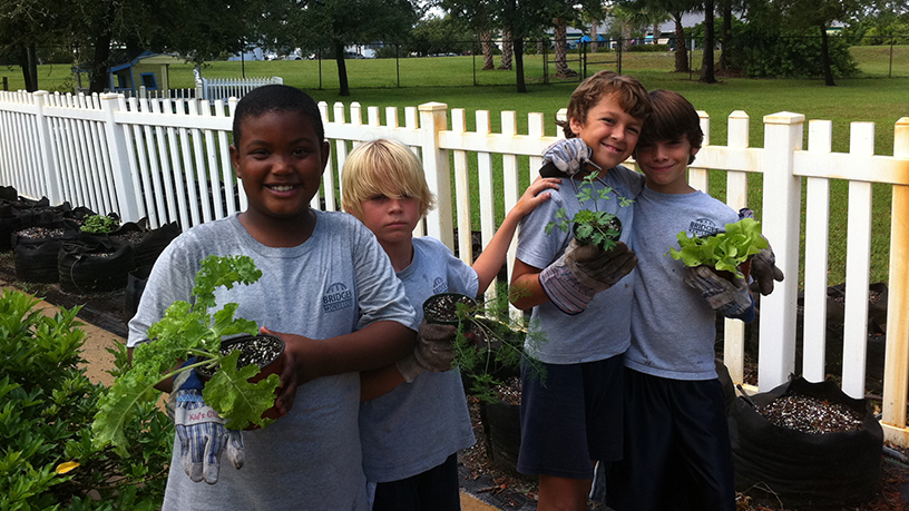Montessori School Curriculum | A Bright Horizons Montessori School
